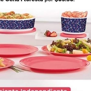 Tupperware | Dining | Tupperware Flowers Set | Poshmark